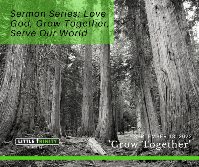 Grow Together – Little Trinity