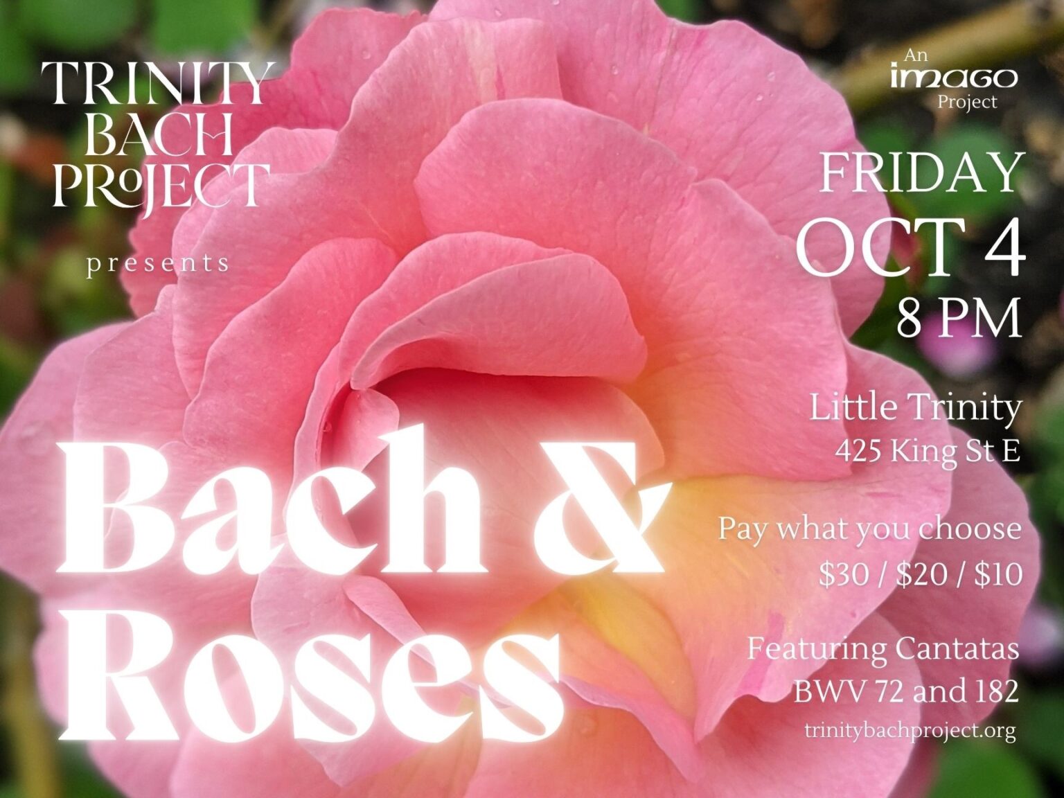 Little Trinity – A welcoming church community in the heart of old-town ...