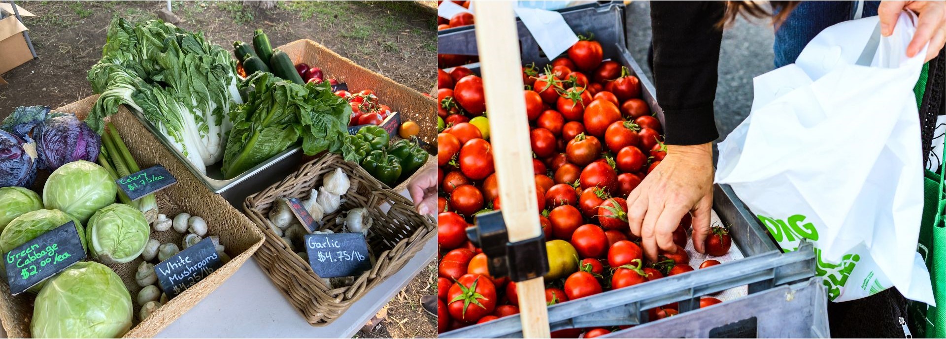 Good Food Market – Little Trinity